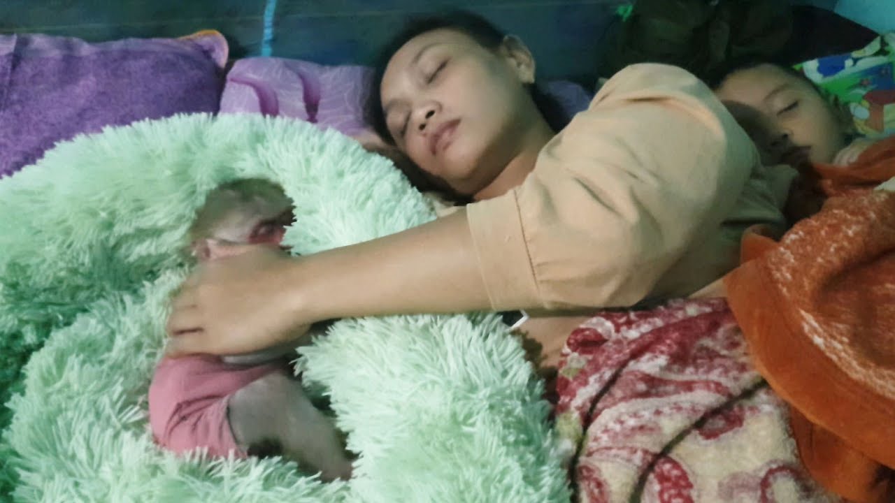 The Bob monkey family happily plays and sleeps together - YouTube