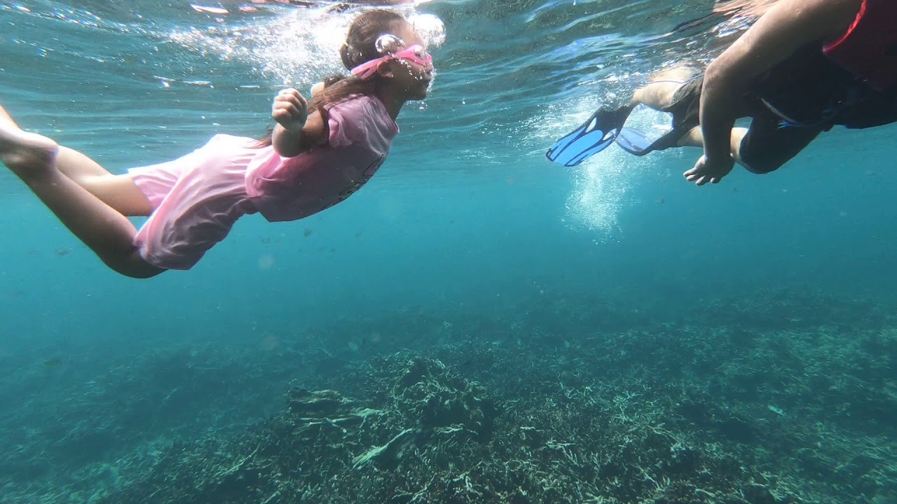 Snorkeling pahawang - YouTube