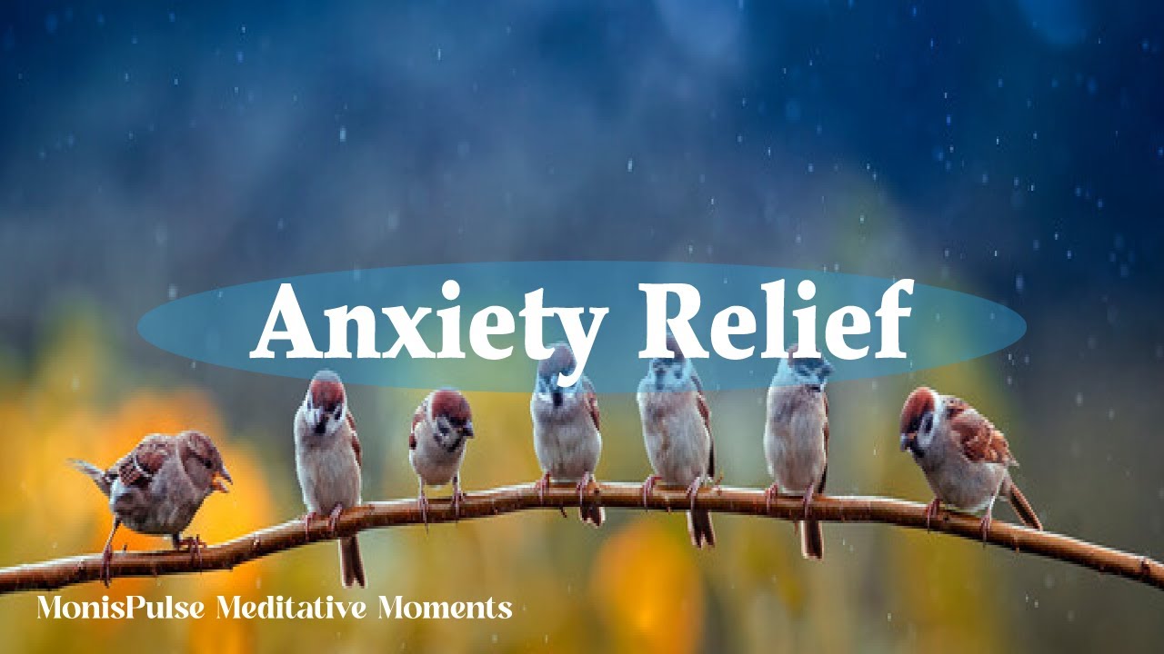 Creating a Calm Oasis: Anxiety Relief and Laser-Focused Mindfulness ...
