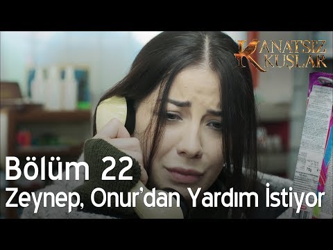 Zeynep, Onur'dan yardım istiyor  - Kanatsız Kuşlar 22. Bölüm