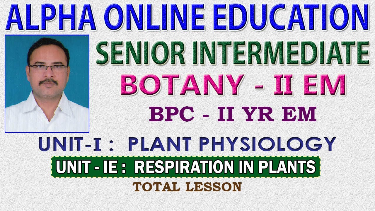 INTER-II YR: BOTANY-II YR EM: UNIT-IE: RESPIRATION IN PLANTS TOTAL ...