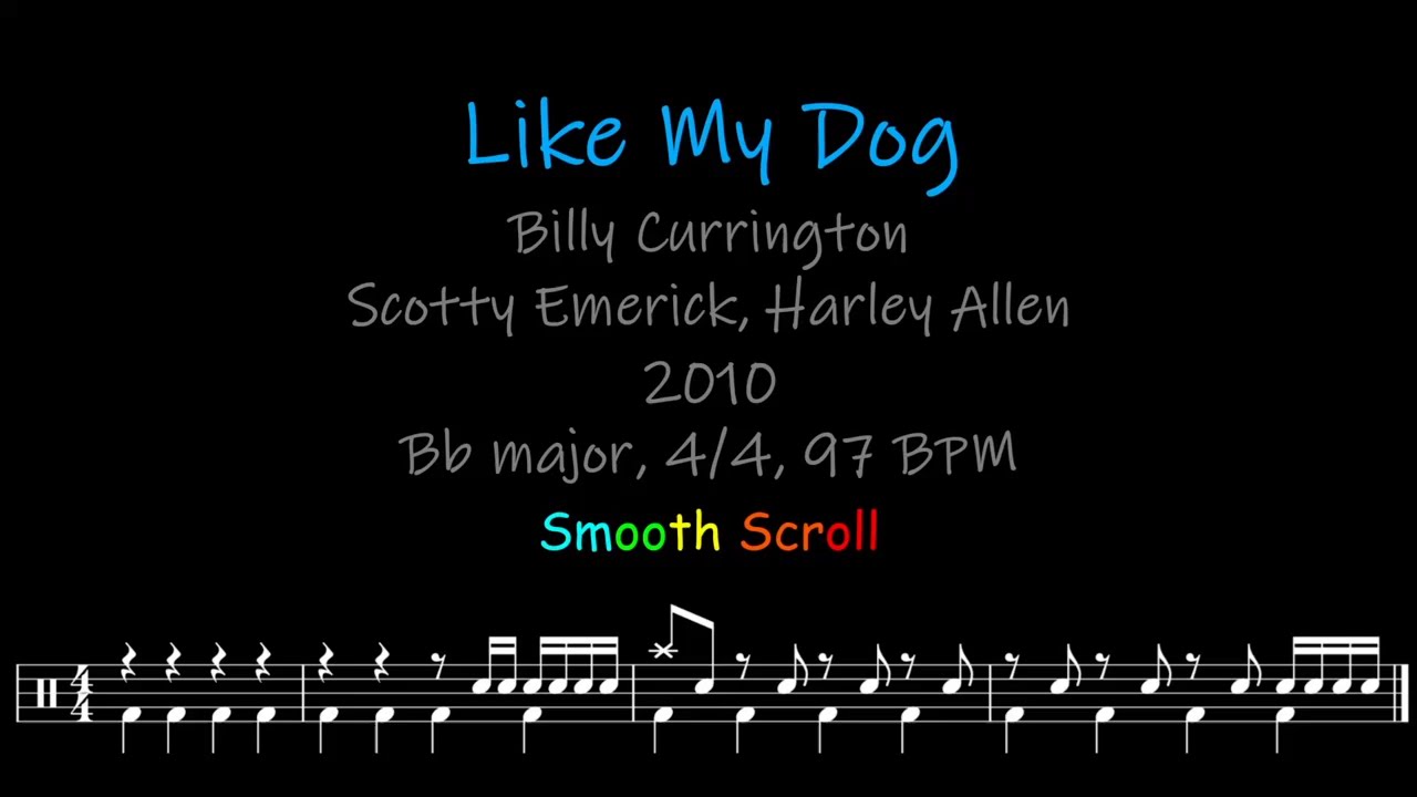 Like My Dog, Chords, Lyrics and Timing - YouTube
