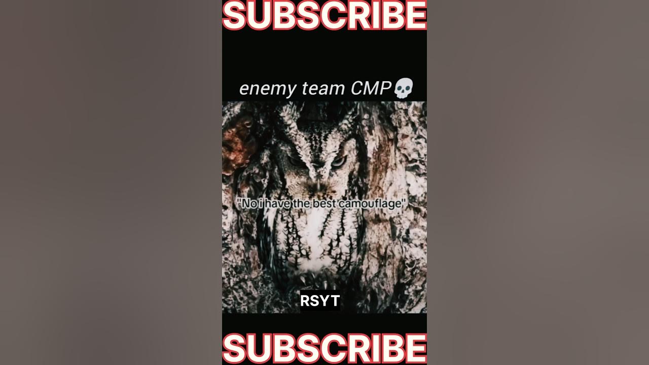 Enemy Team vs Our Team CMP 💀 #shorts #freefire #foryou - YouTube
