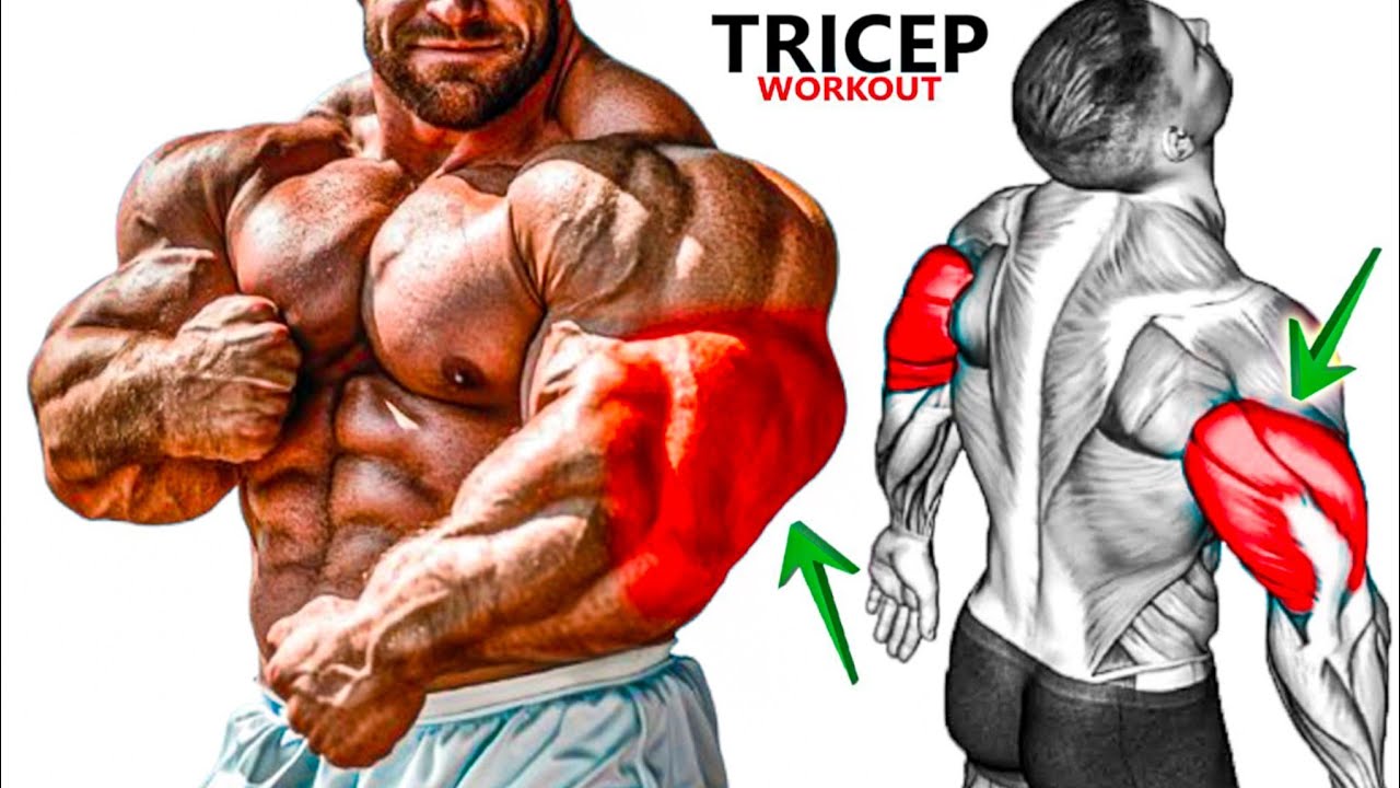 The Perfect Science Based Tricep Workout ( 2025 Edition ) Tricep ...