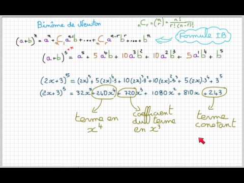 BI Thème 1 - Binôme de Newton Vidéo 2 - YouTube
