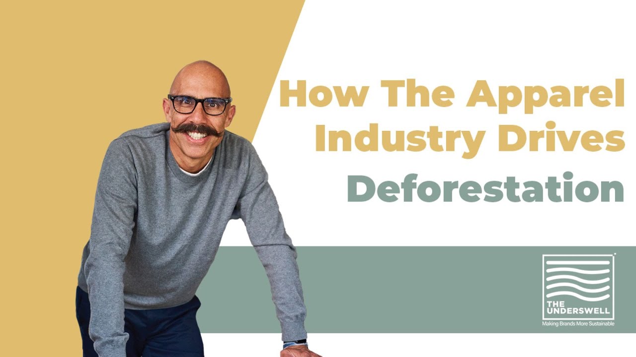 How The Apparel Industry Drives Deforestation - 3 Things To Look For ...