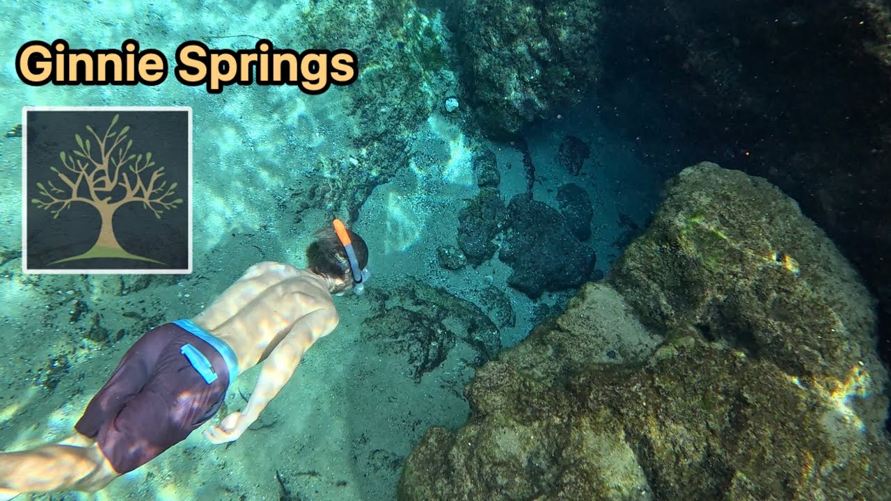Ginnie Springs Snorkeling and Scuba Diving - High Springs, Florida ...