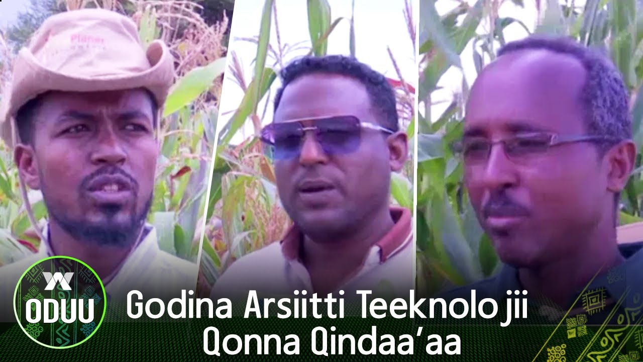 Godina Arsiitti Teeknolojii Qonna Qindaa’aa - YouTube
