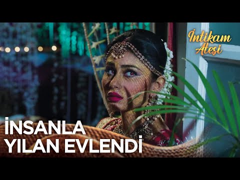 Gelin Düğün Gecesi Yılana Dönüştü | İntikam Ateşi