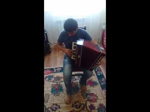 FERIT LACINLI ŞİNİX TERANELERİ