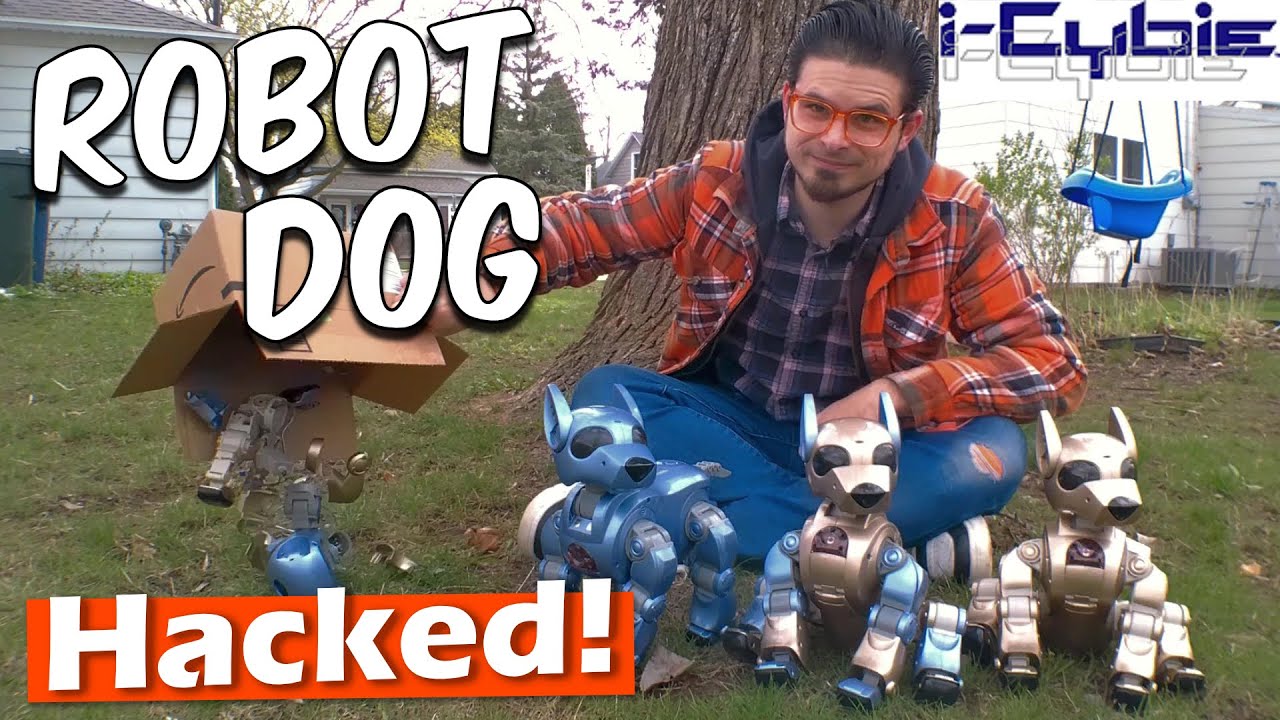 Reverse Engineering the i-Cybie Programmer - Upgrading a Vintage AIBO ...