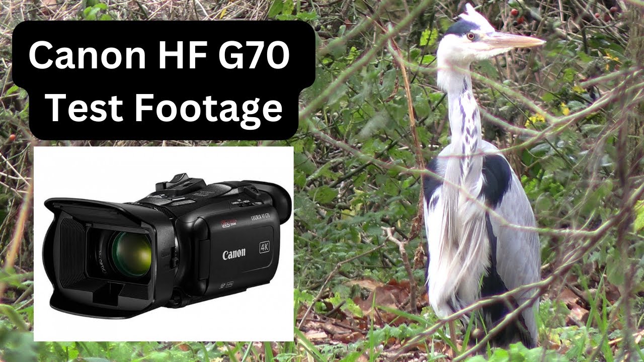 Canon HF G70 -Test Footage 4K - YouTube
