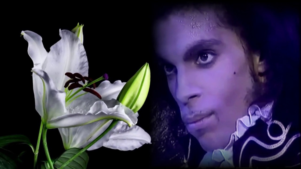 Prince & Jill Jones - 4 Lust (unreleased, 1987) - YouTube