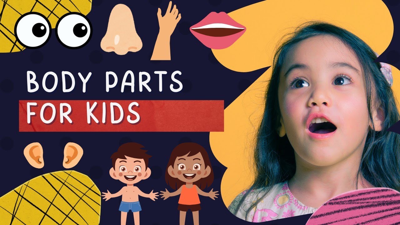 Body parts|Body parts for kids - YouTube