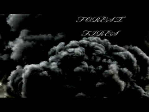STILL BARZ (STILL BARZ MUSIC)- "FOREST FIRES{PT.2}" MUSIC VIDEO "Feux ...