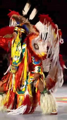 Native American Dance: Tribal Rhythms and Cultural Celebration ...