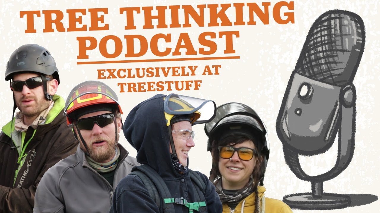 Introducing the Tree Thinking Podcast on TreeStuff - YouTube
