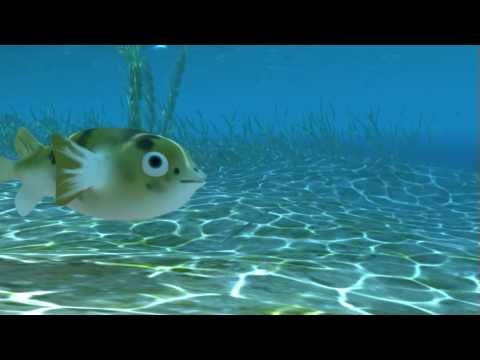 Puffer Fish animation - YouTube