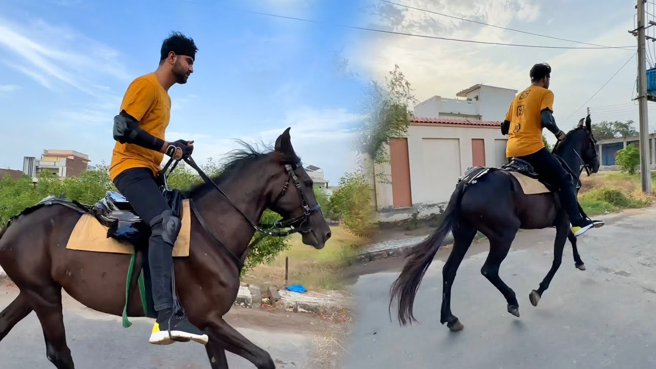 Finally Sabtain Ny Horse Riding Seekh Li😍 - YouTube