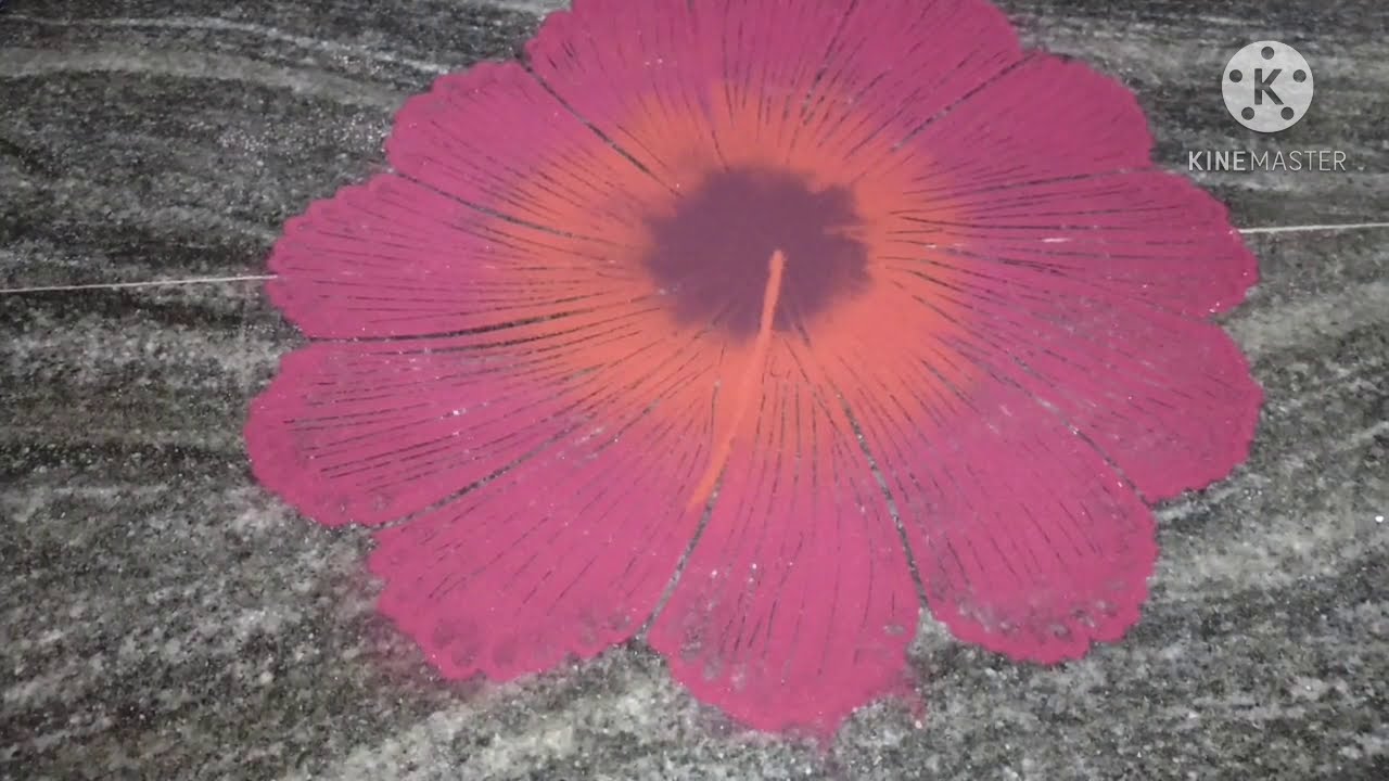 Hibiscus rangoli design/easy and simple attractiing hibiscus rangoli ...