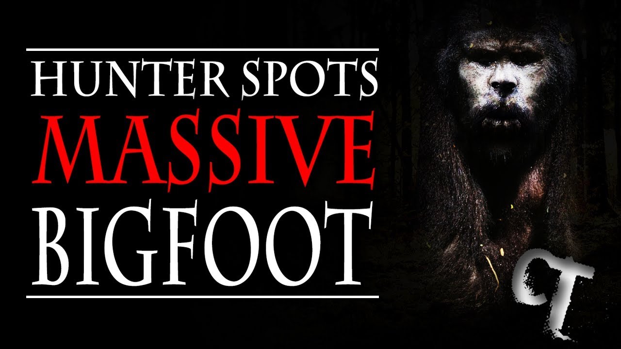 Turkey Hunter Spots Massive Bigfoot and More - YouTube