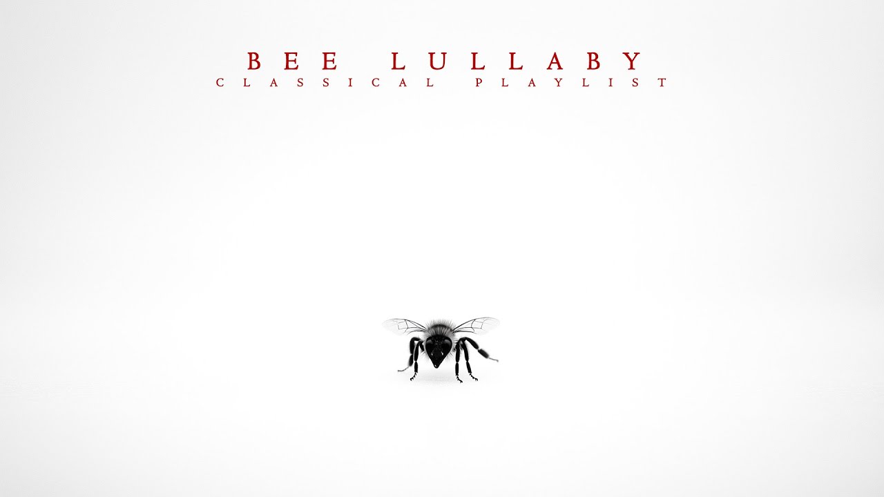 Bee Lullaby I Perfect Focus - Classical Compositions - YouTube
