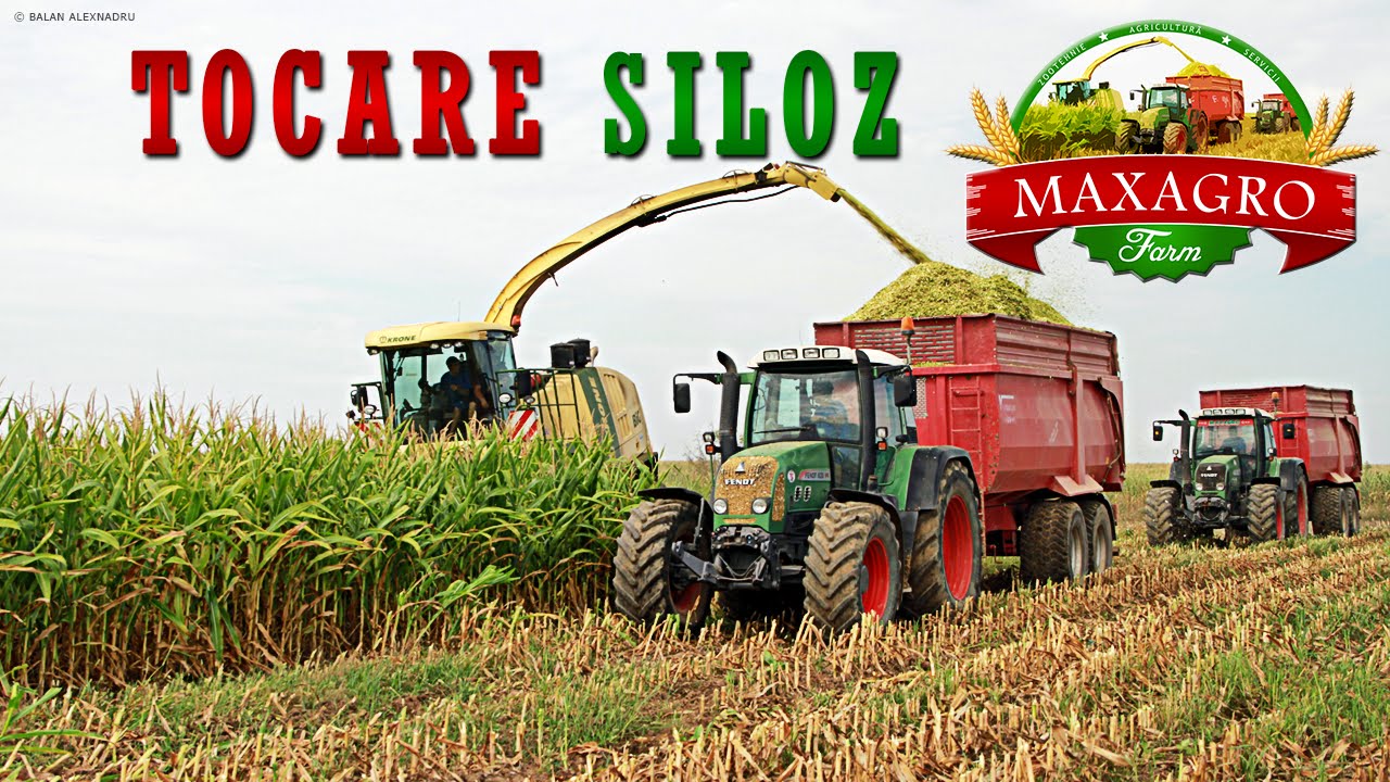 Tocare siloz - MAXAGRO FARM (Tocatoare Kemper Big + Fendt 820) - YouTube