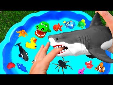 Animals for Kids - Learn Sea Animal, Farm Animal and Wild Animal Names