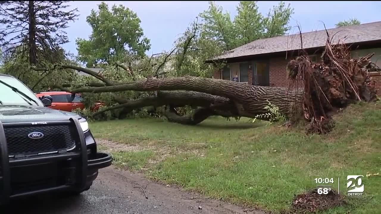 50+ foot tree crashes in front of home - YouTube