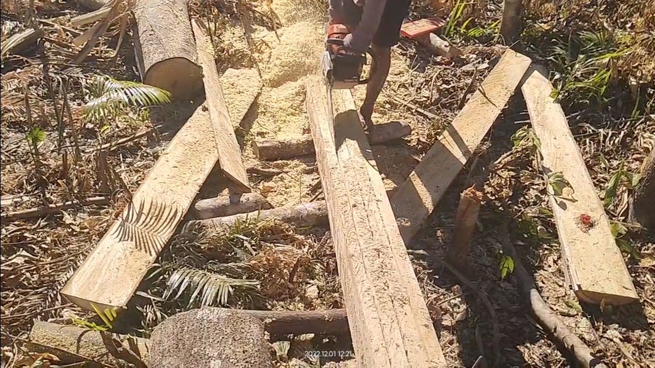 cutting timbers for making bed||timbers cutting tutorial - YouTube