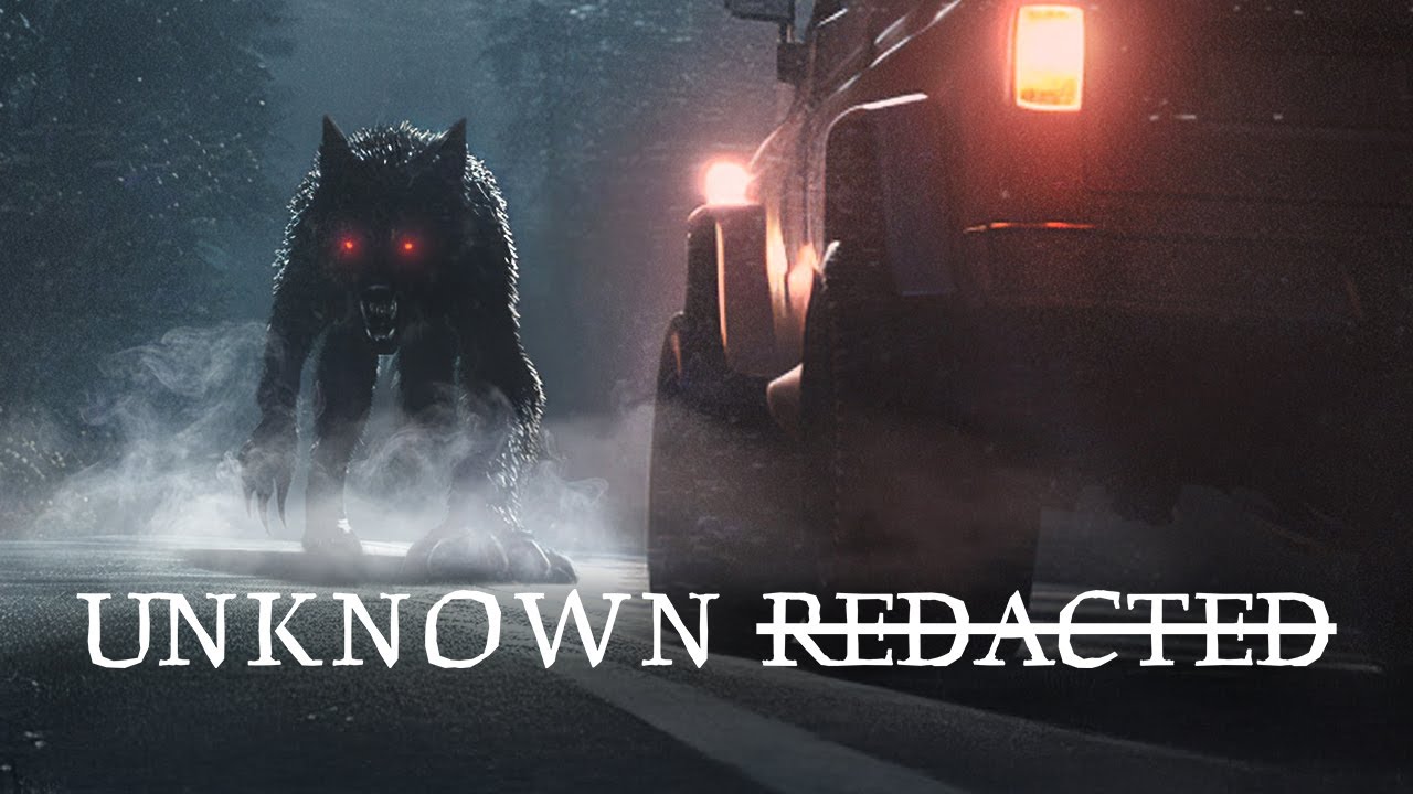 Dogman Encounter in Ellijay, GA (Redacted from Unknown Ellijay: A ...