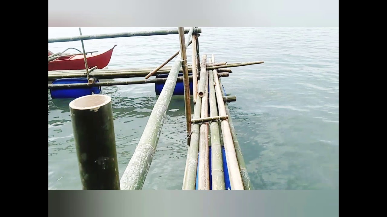 bamboo fish cage(making of bamboo fish cage) - YouTube