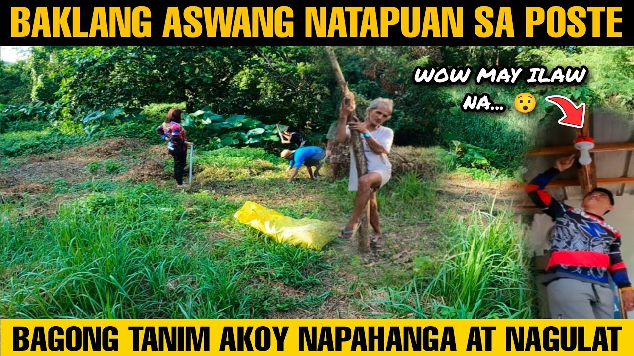 baklang asawang natagpuan sa poste naging tao napahanga at nagulat ako ...