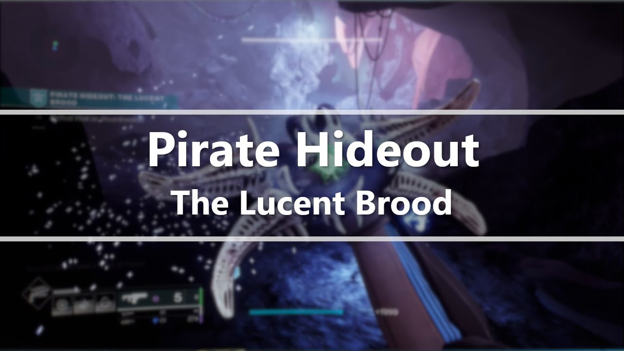 Destiny 2 | Pirate Hideout - The Lucent Brood (Week 8) - YouTube