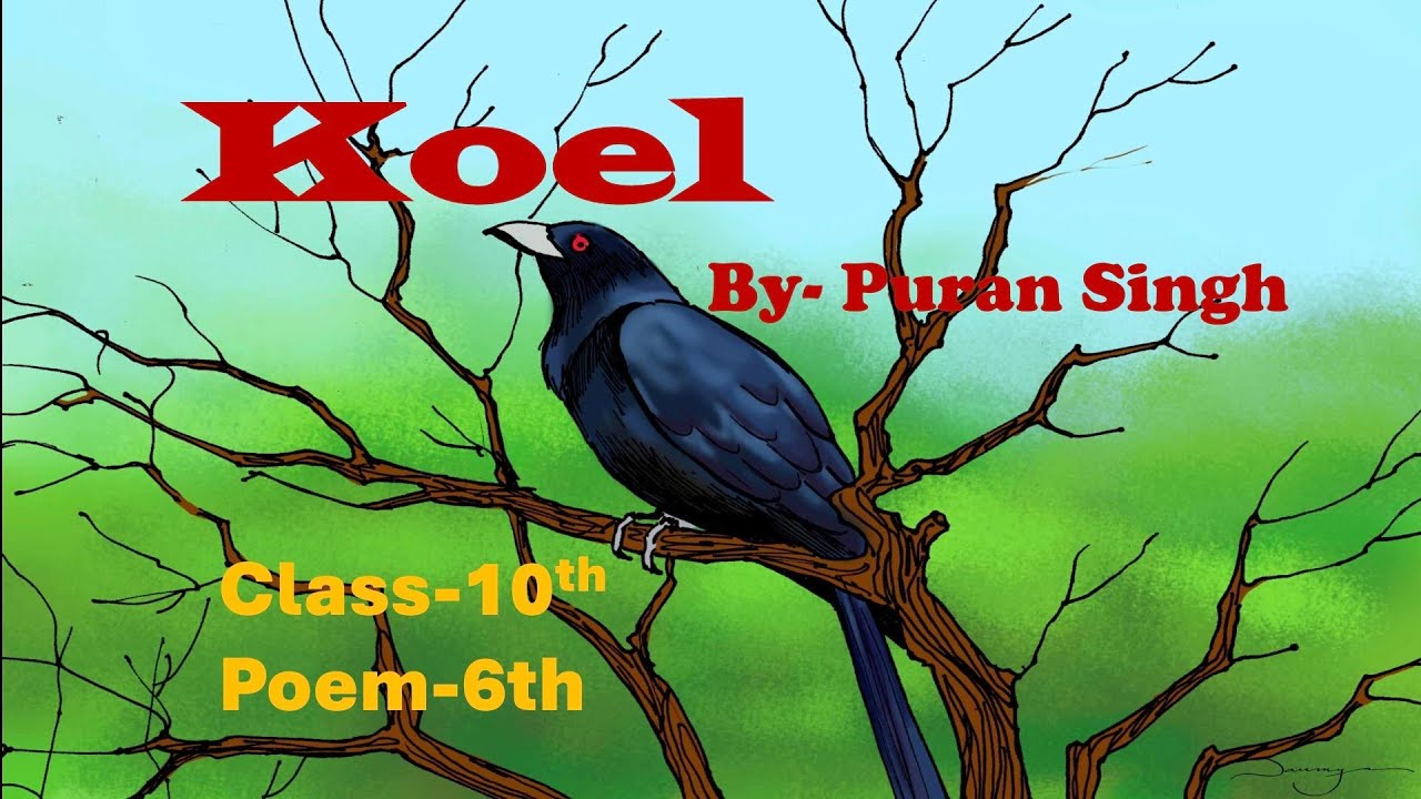 KOEL- PURAN SINGH || CLASS - 10TH || PANORAMA || BSEB || HINDI ...