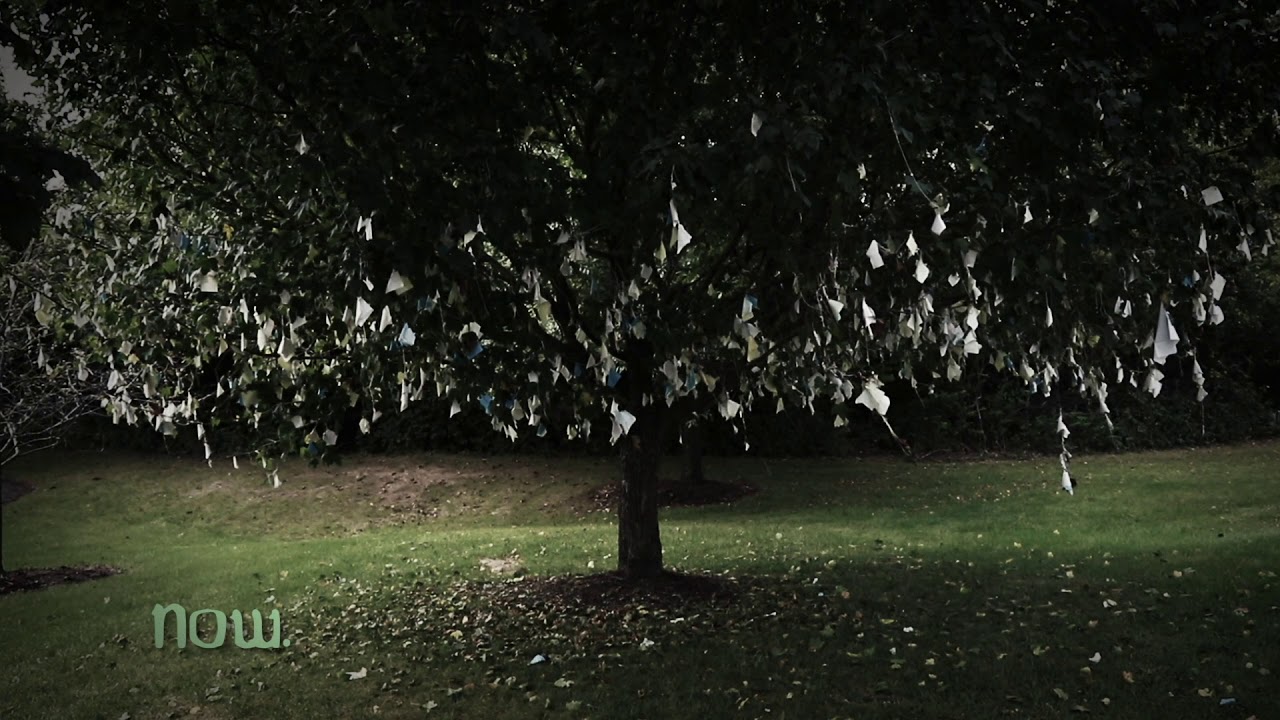 The Abandoned Wishes of the Irish Wishing Tree - YouTube