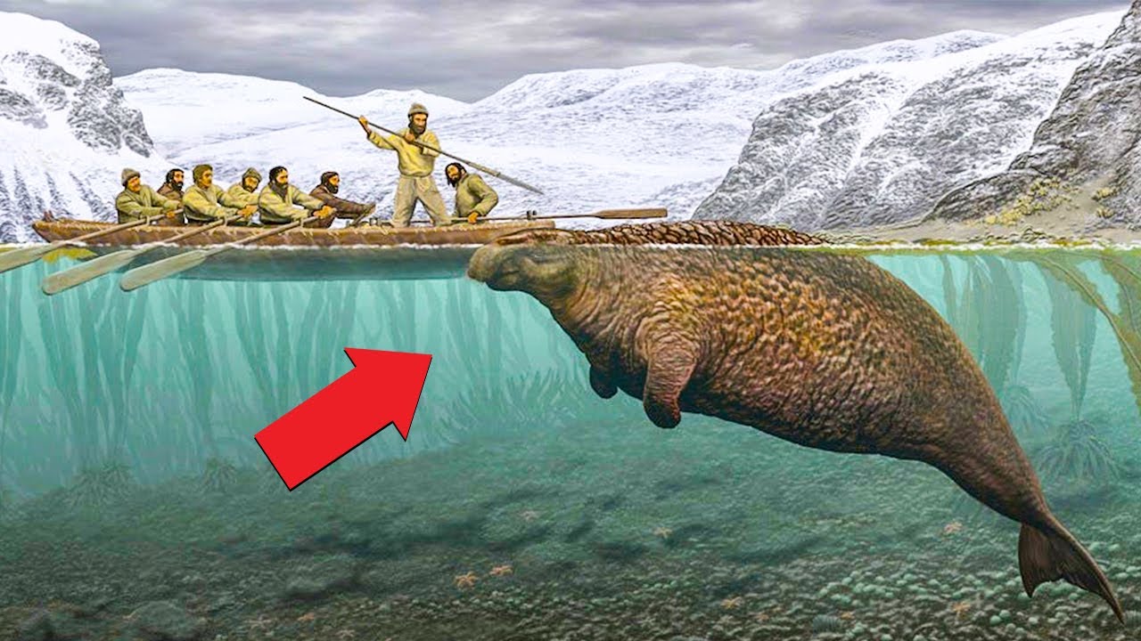 The Final Documented Observations Of Four Extinct Animals - YouTube