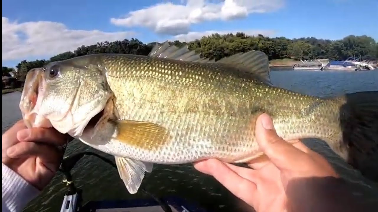 Down SIZING To Catch PRESSURED Fish (+Hidden Giveaway) - YouTube