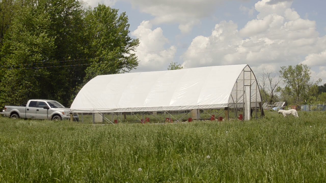moving chicken tractor! - YouTube