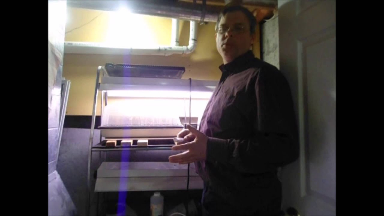 DIY Plant Heat Mat - YouTube