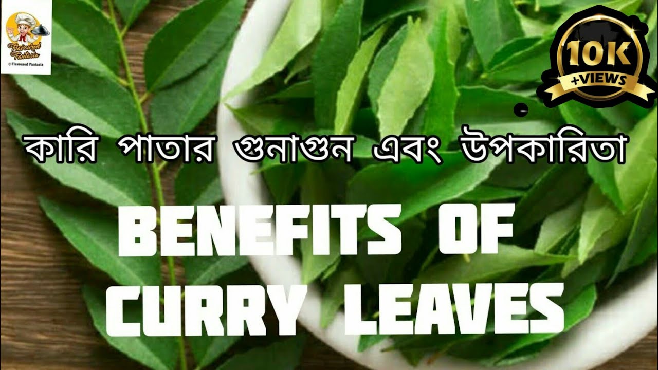 কারি পাতার উপকারিতাBenefits of curry leaves|Curry patar upokarita ...