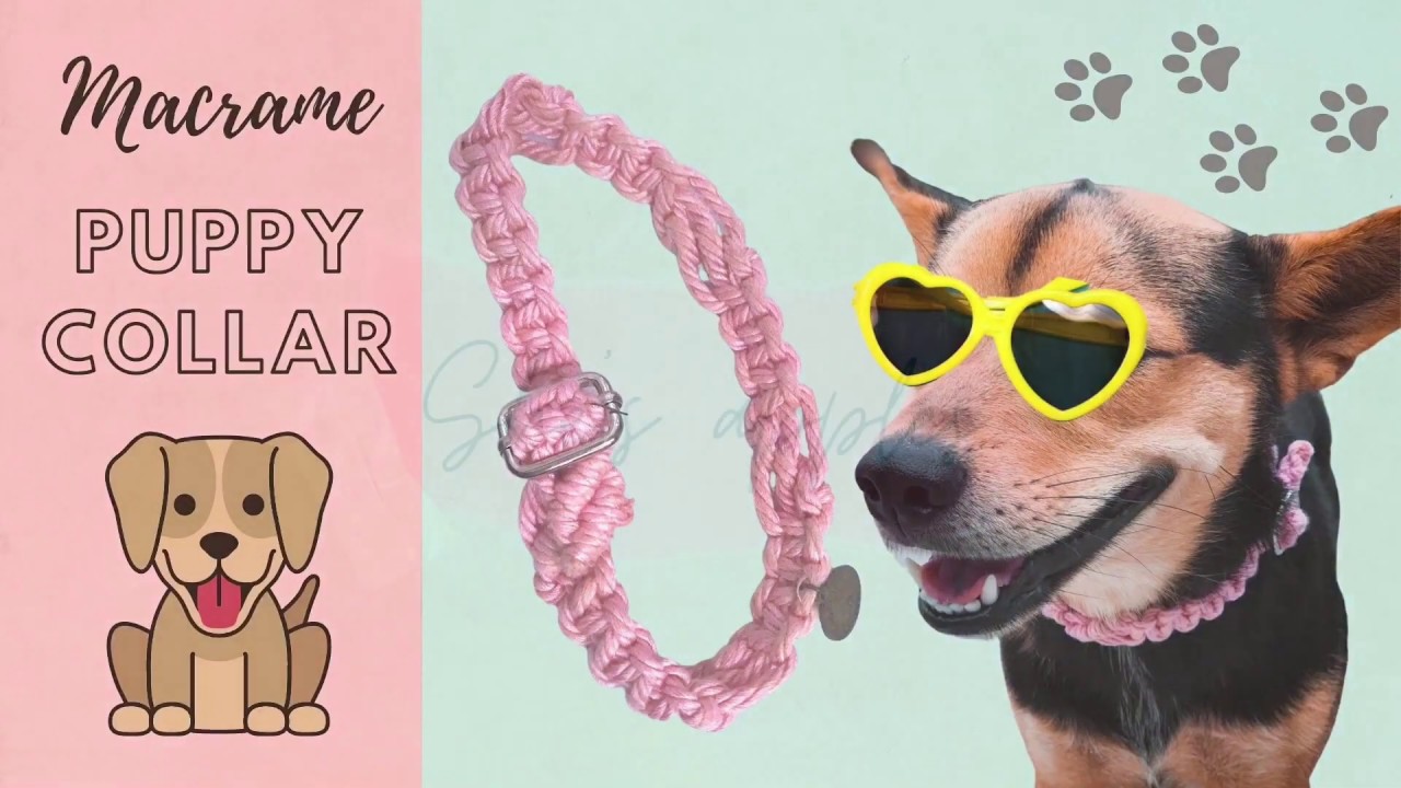 Macrame tutorial - Puppy collar - Easy DIY - YouTube