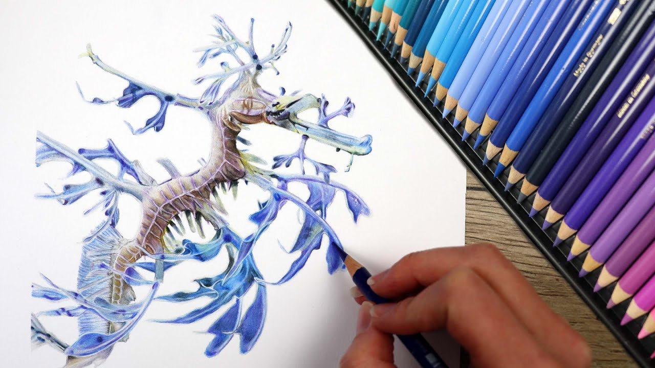 How to Draw a Leafy Seadragon / Seahorse tutorial with COLOR PENCIL ...