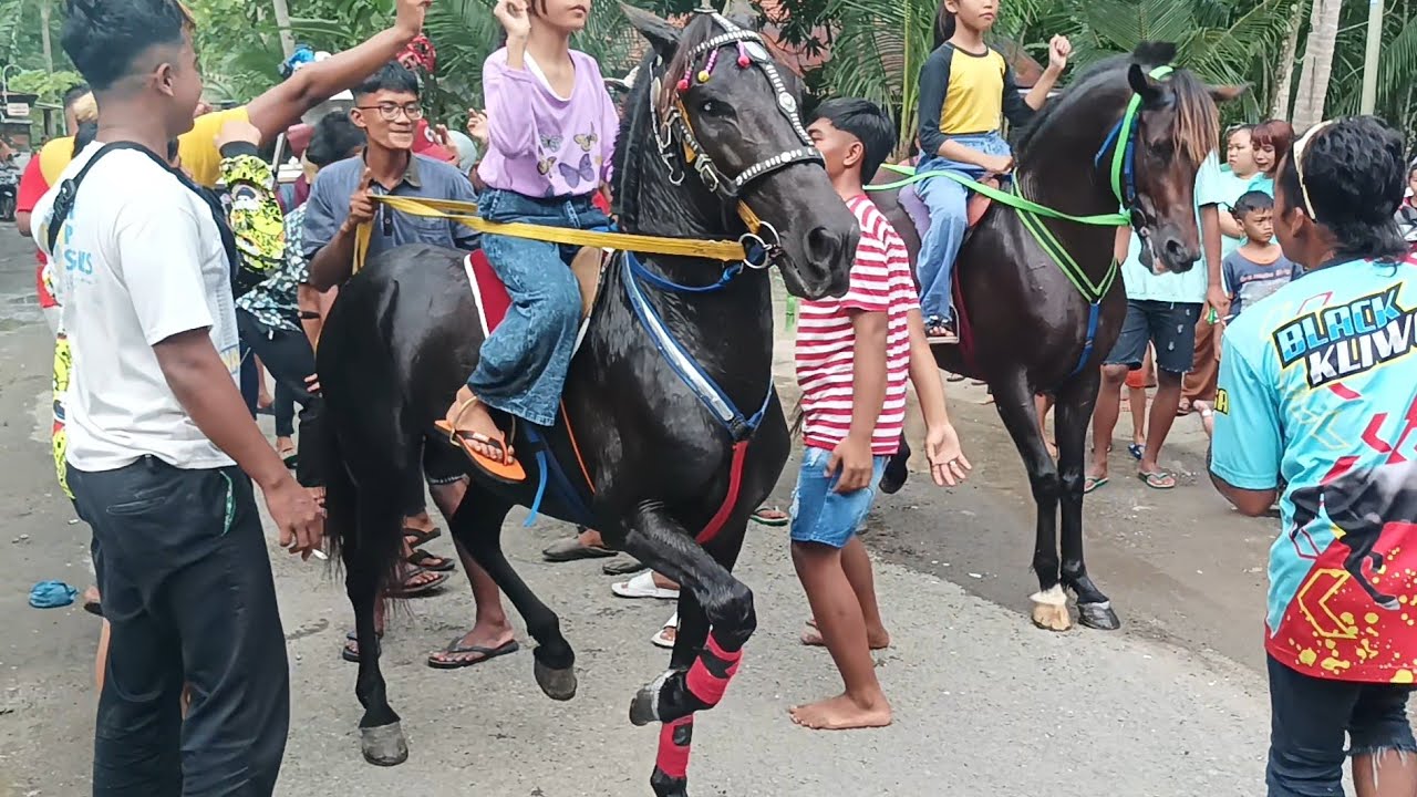 Horse Dence - Kuda Menari LATBER Kuda Joget kebumen Di Kebonsari - YouTube