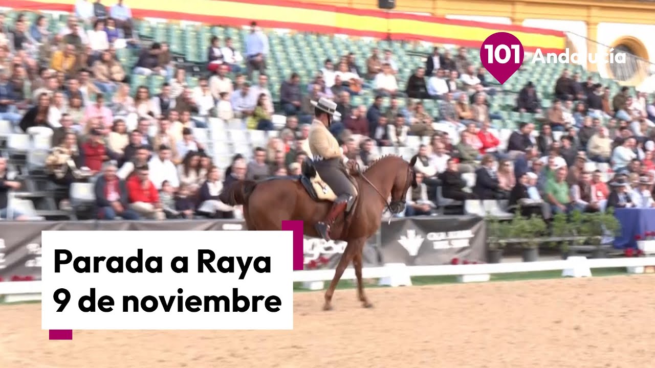 🐴 Parada a Raya: la mejor Doma Vaquera en Parada a Raya este sábado 9 ...