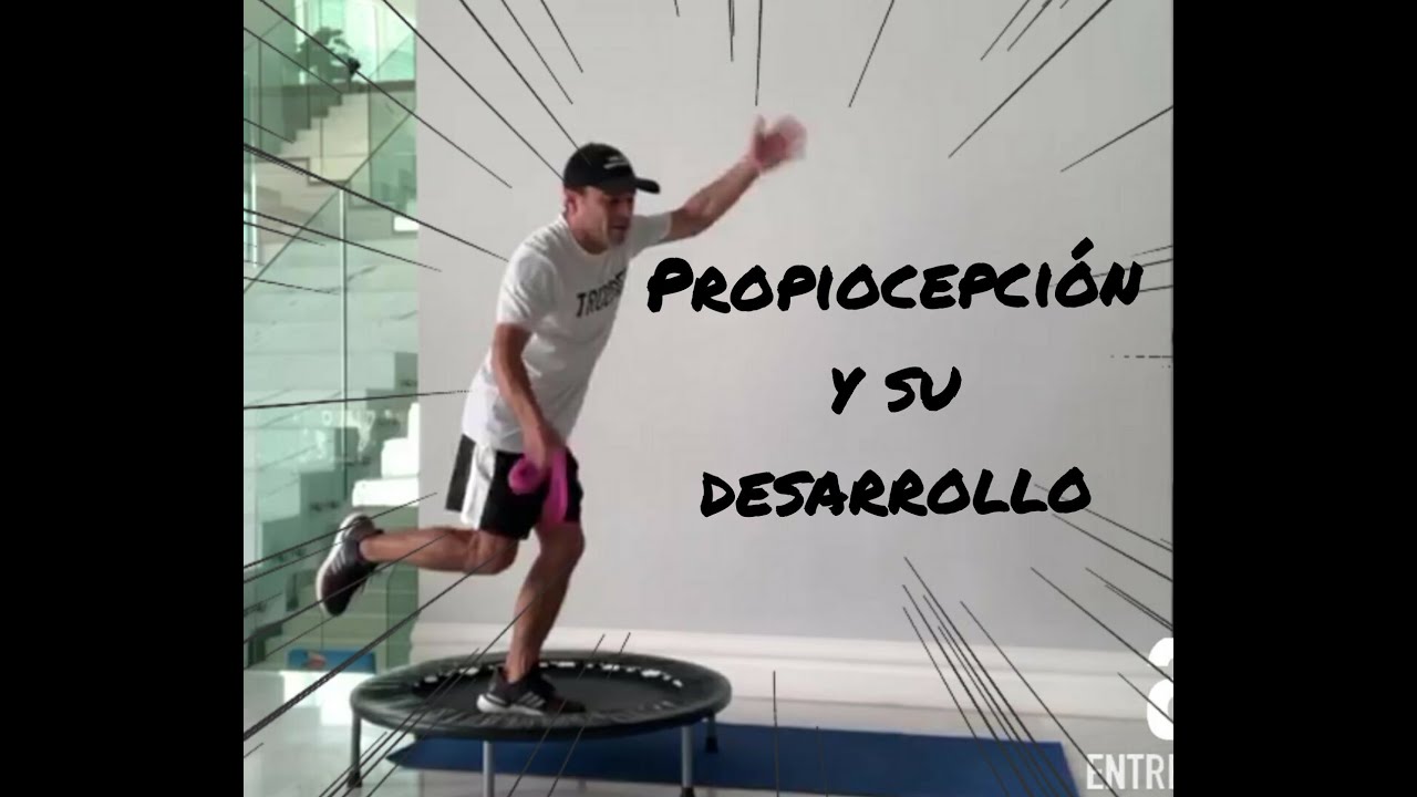 la propiocepcion y su desarrollo - YouTube