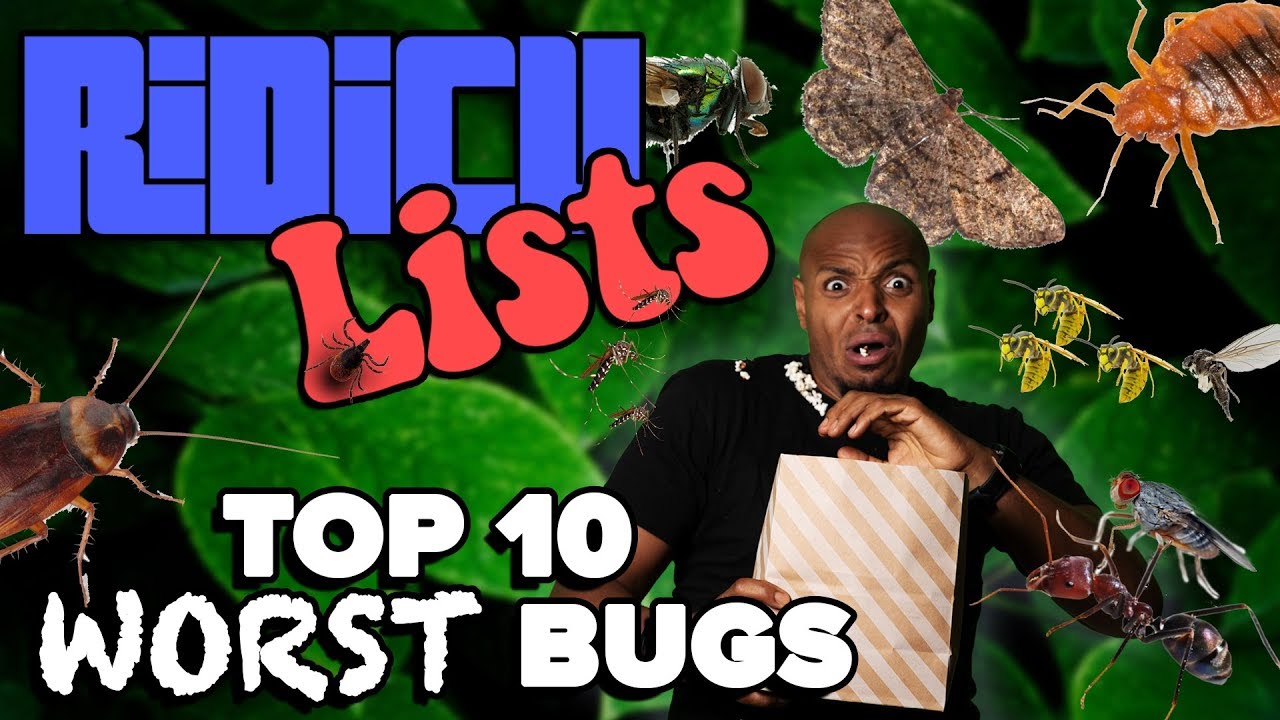 Ridicu-Lists: Top 10 Worst Bugs - YouTube
