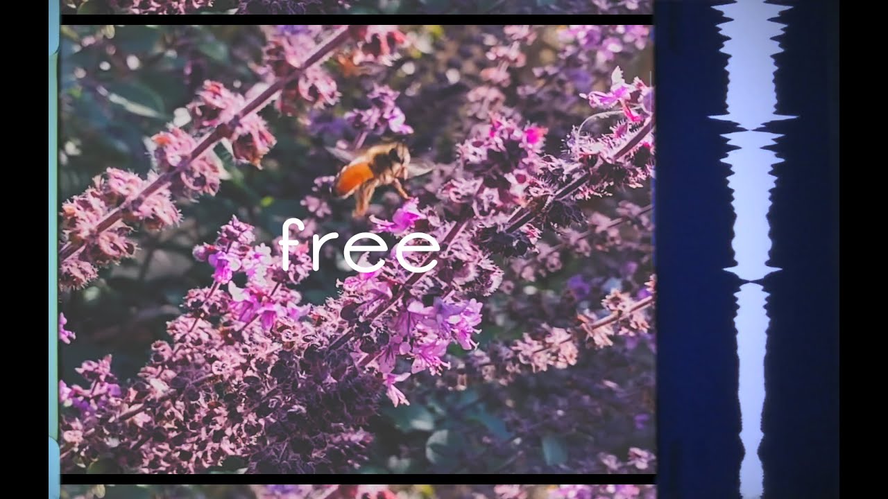 Hive Commercial #3 - "Free" - YouTube