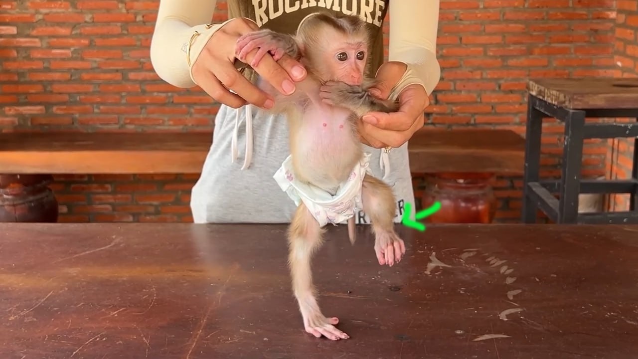 LOOK At Adorable Baby Yuri Making Her First Step Walking With Mom - YouTube