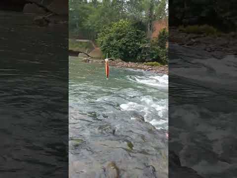 Lagi mancing malah ketemu tante lagi mandi #mancing #mancingmania